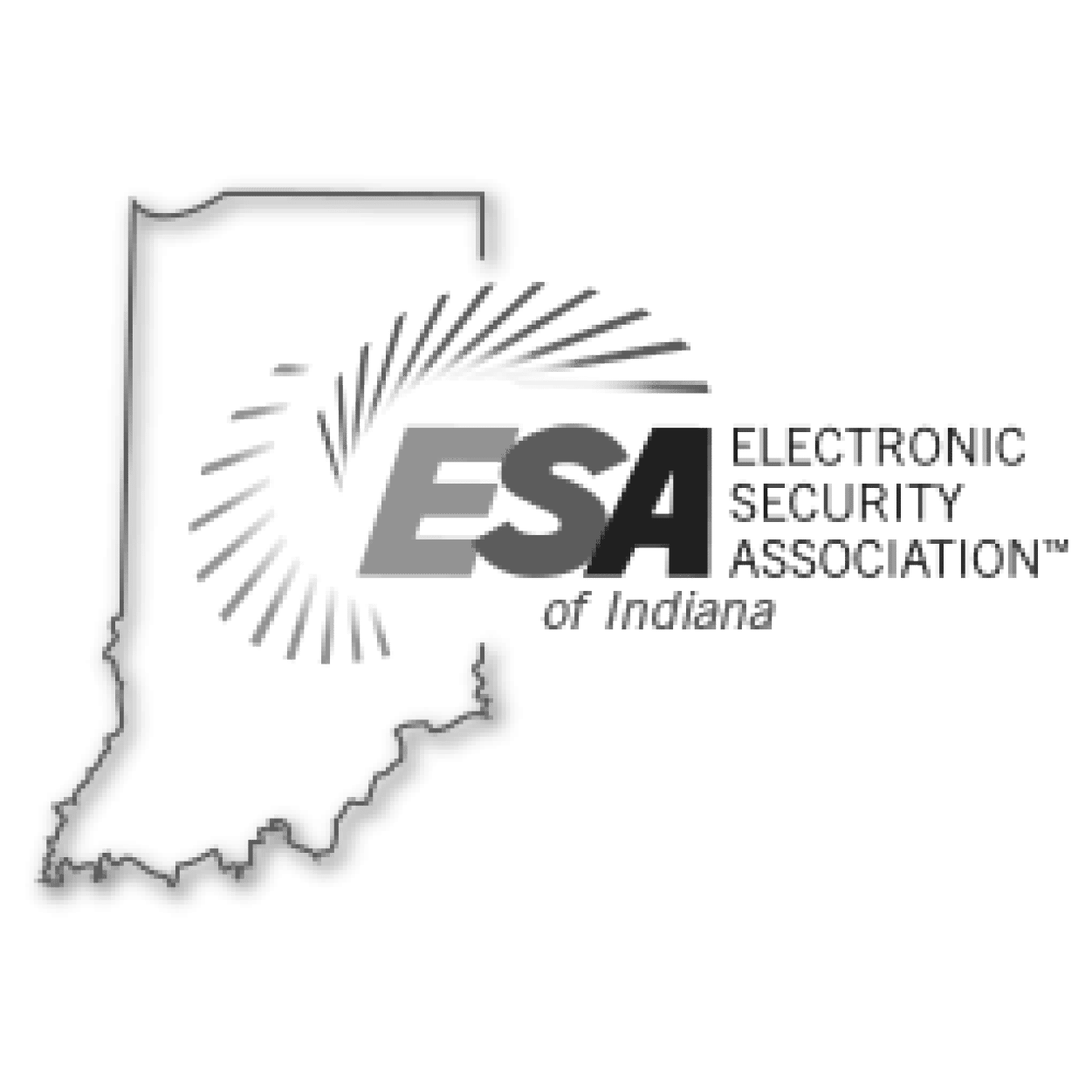 Our History | Rapid Response Monitoring Services