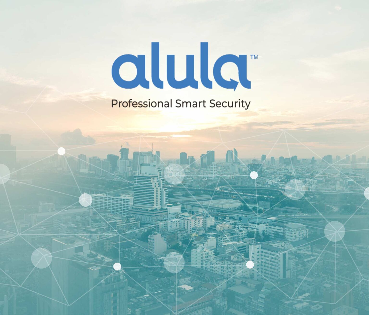 Trusted Monitoring Partners for Reliable Security Solutions